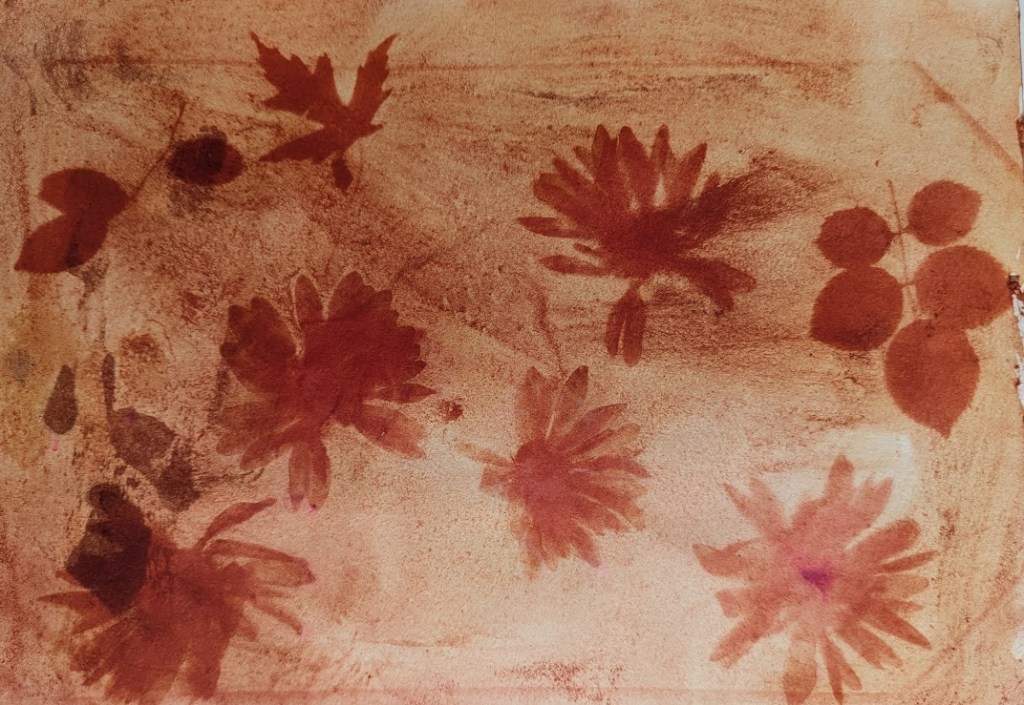 Sun Printing with Turmeric – Sue Lewis Art